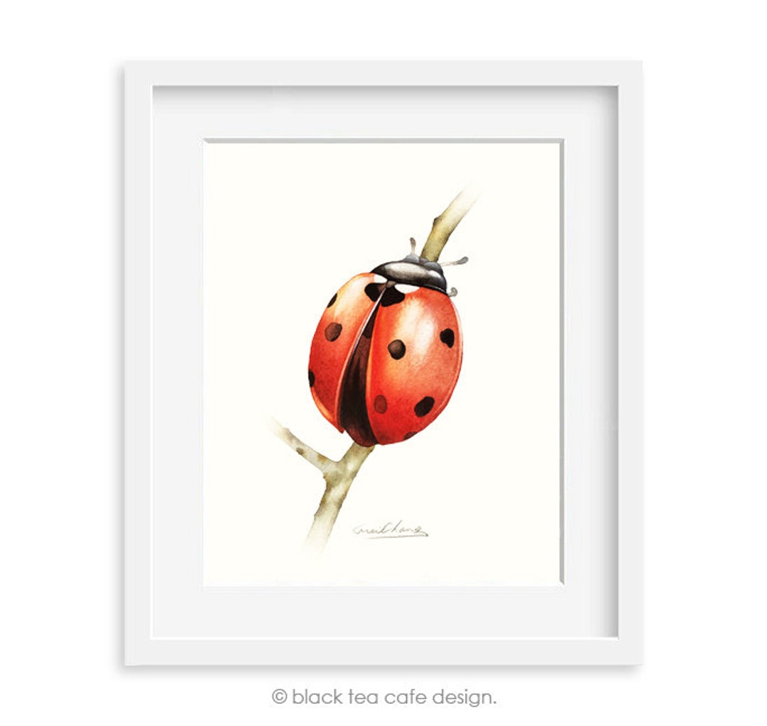 Ladybug 8 by 10 Print - Archival Print, 8X10 Ladybug Watercolor Art ...