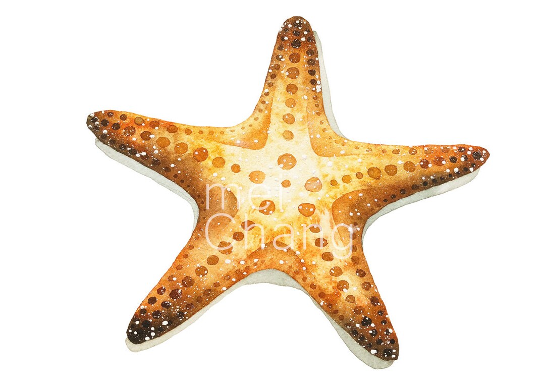 Starfish Art Print, 5X7 Starfish Watercolor Art Print, Starfish ...