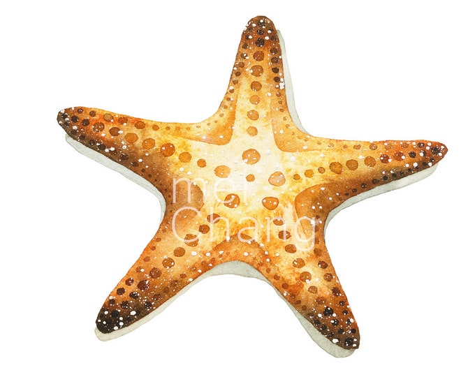 Starfish Art Print, 5X7 Starfish Watercolor Art Print, Starfish ...