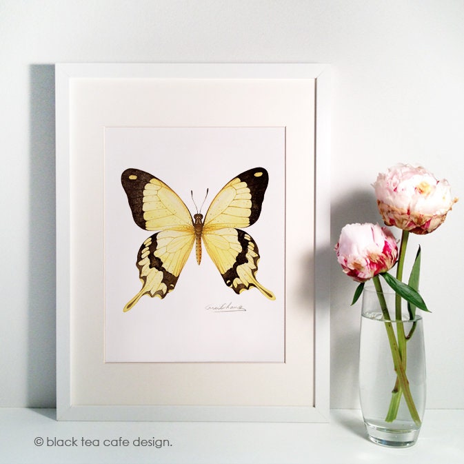 Swallowtail Butterfly 8 by 10 Print - Archival Print, 8X10 Butterfly ...