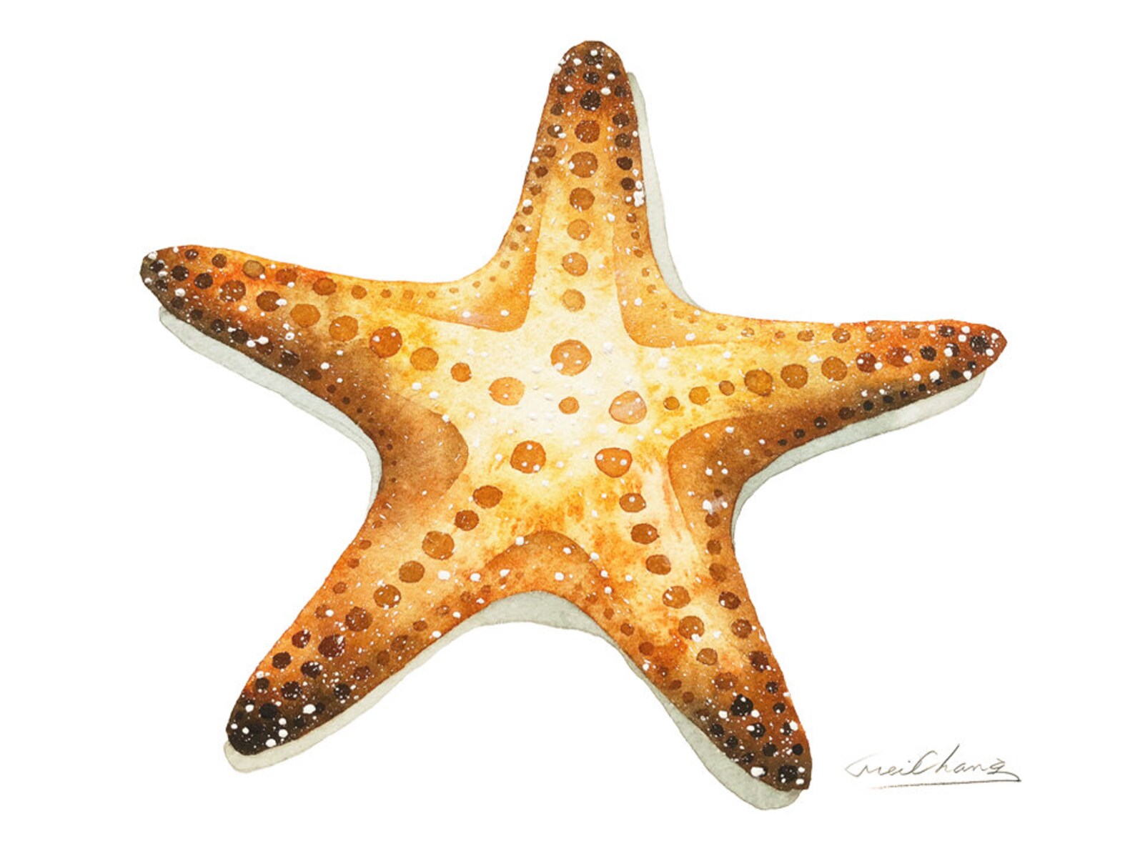 Starfish Art Print, 5X7 Starfish Watercolor Art Print, Starfish ...
