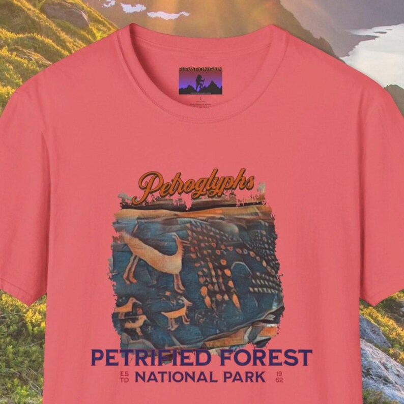 Petrified Forest National Park Shirt, Petroglyphs, Outdoor Adventure ...
