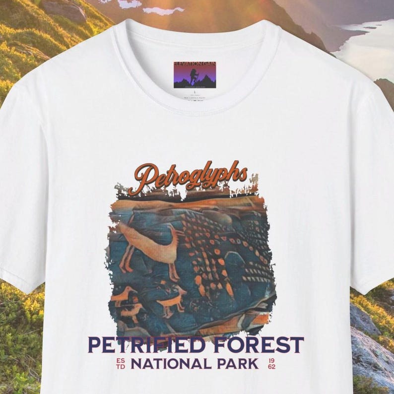 Petrified Forest National Park Shirt, Petroglyphs, Outdoor Adventure ...