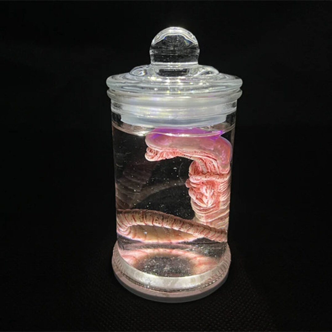 Alien Jar Xenomorph Sample Facehugger Larva Glass Jar Movie Prop ...