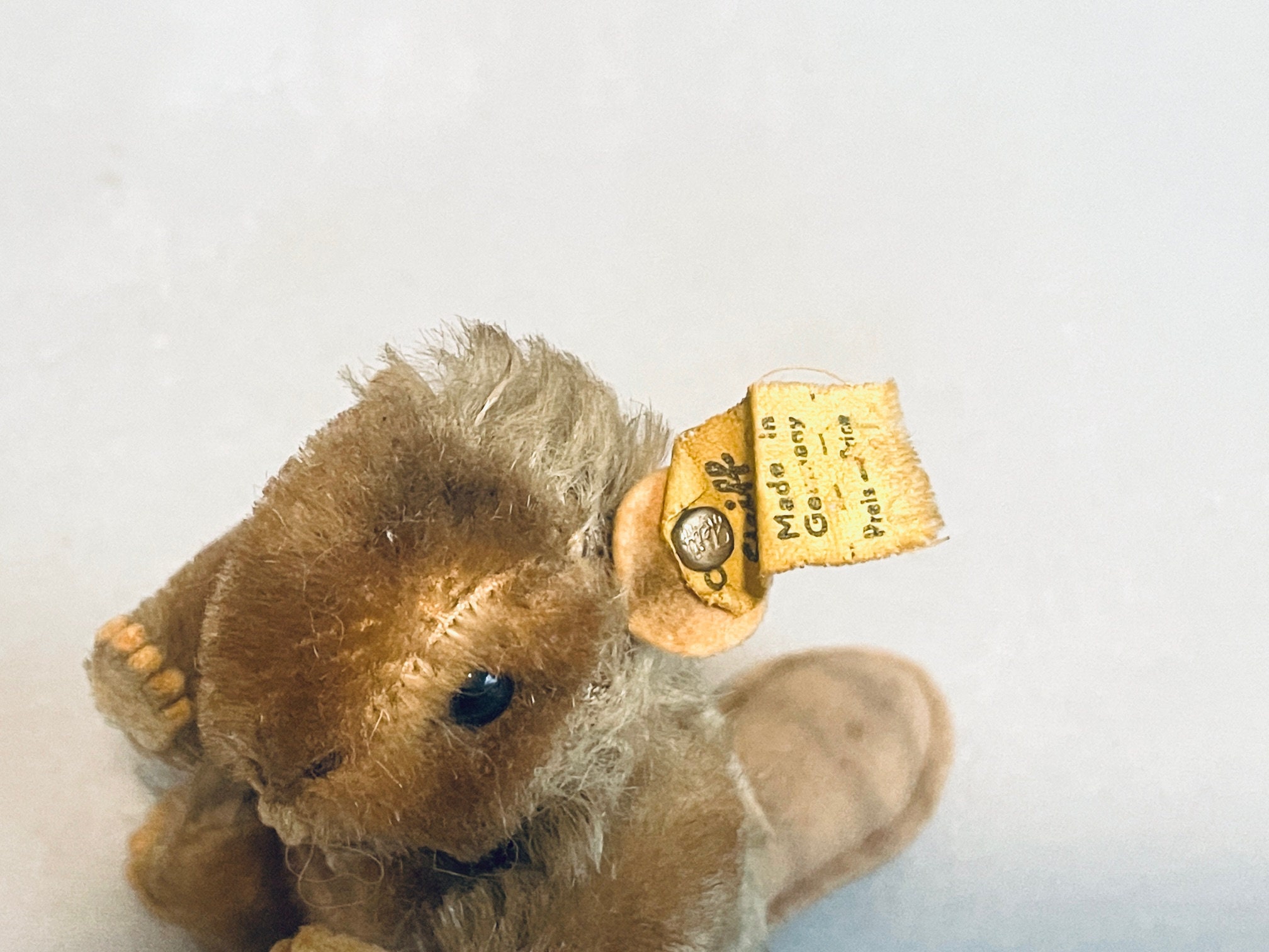 Steiff Beaver, Made in Germany in the 1950s, is About 4 Inches Tall. in ...