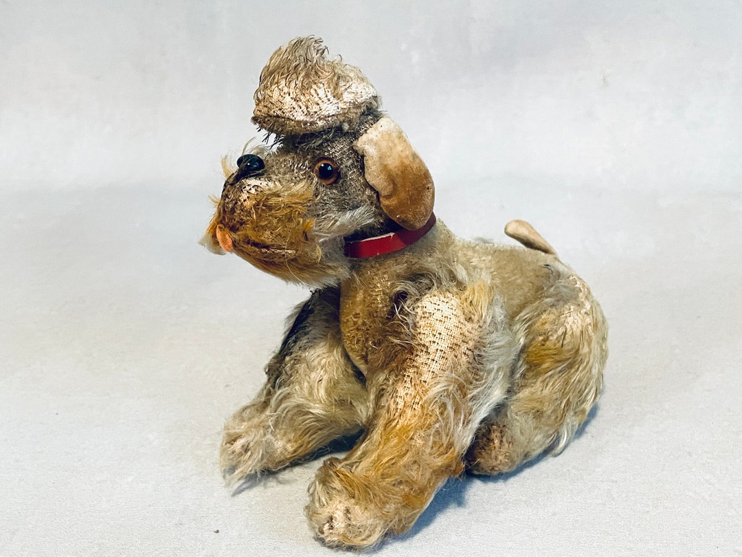 Steiff Poodle Snobby. Used/vintage Condition. Red Leather Collar 1950 ...