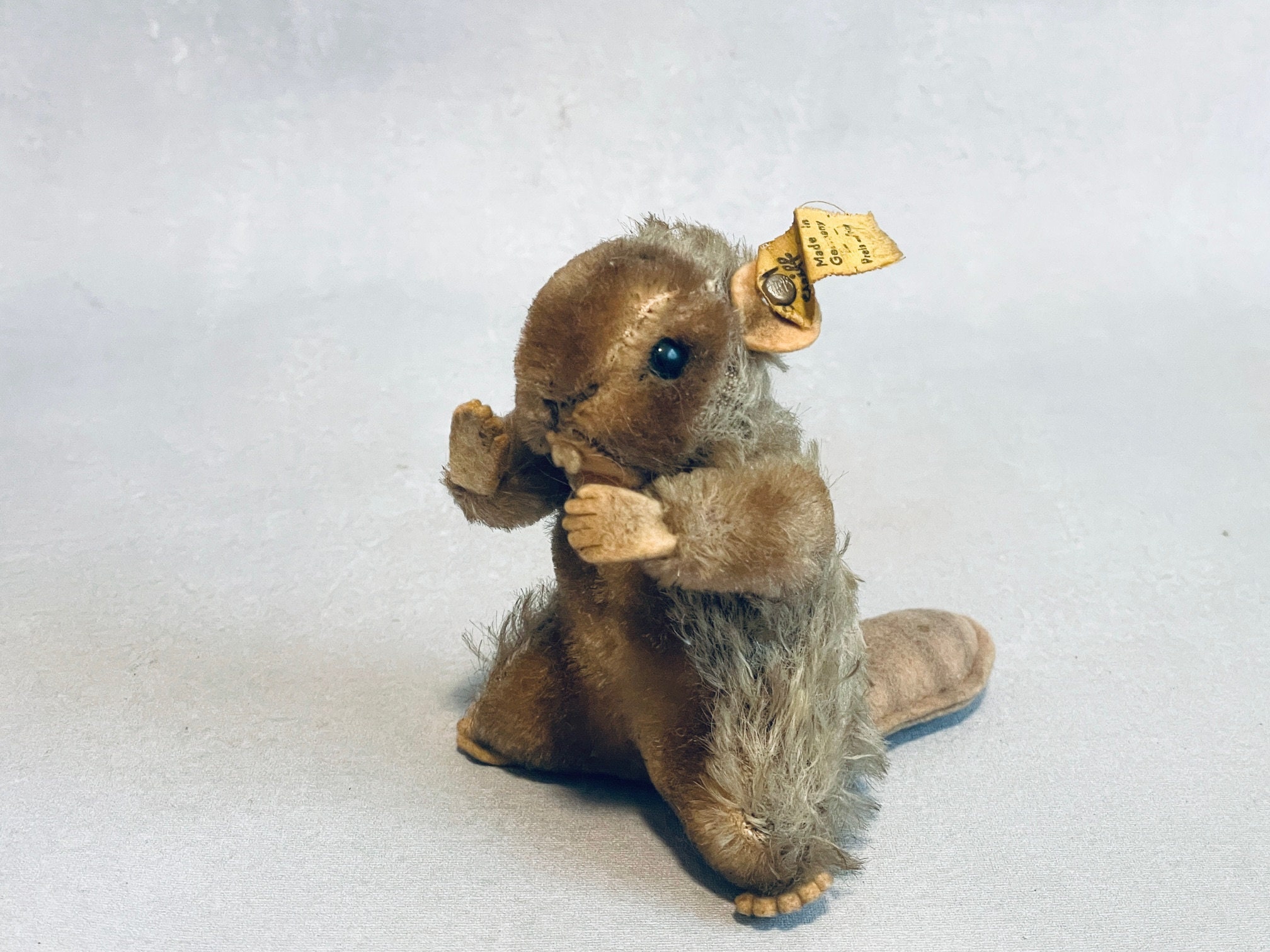 Steiff Beaver, Made in Germany in the 1950s, is About 4 Inches Tall. in ...