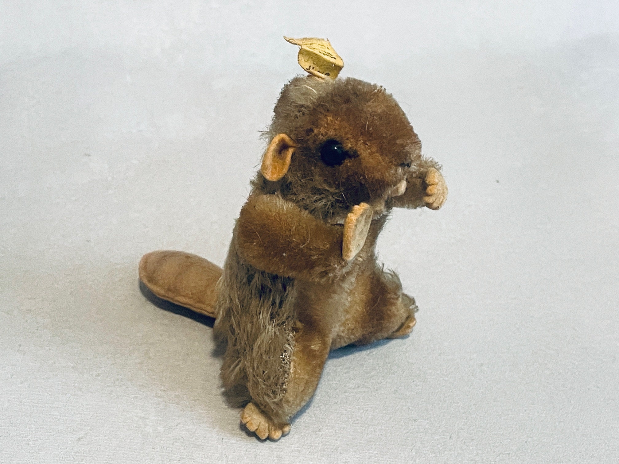 Steiff Beaver, Made in Germany in the 1950s, is About 4 Inches Tall. in ...
