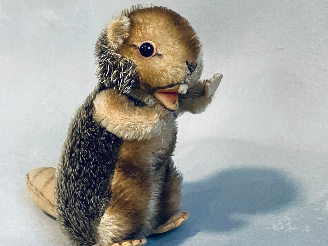 Steiff Vintage Beaver. Manufactured Between 1950 and 1980s. in Good ...