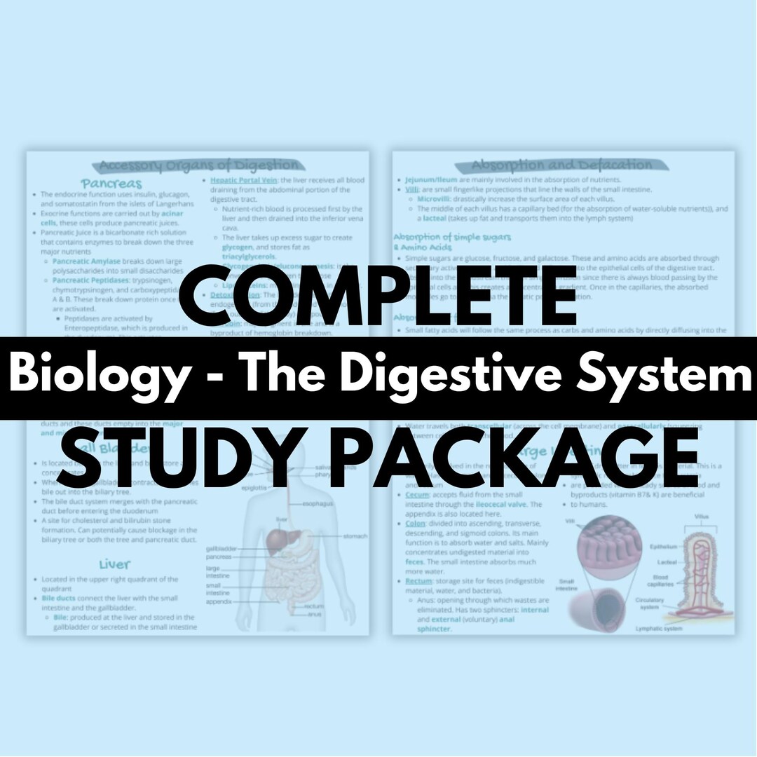 5 Pages Biology Chapter 9 - the Digestive System (MCAT Study Notes ...