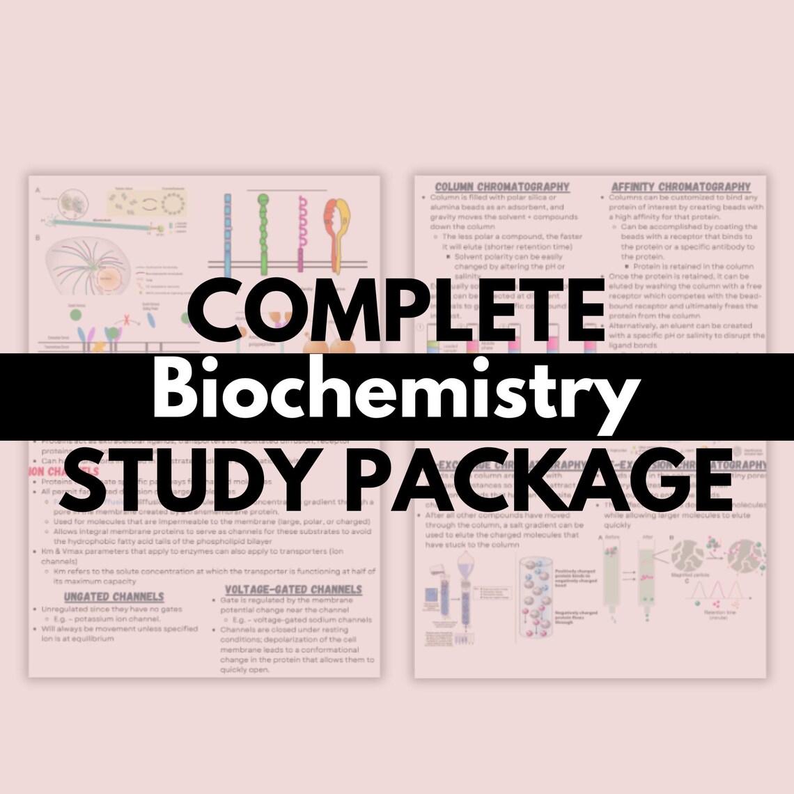 85+ Pages of Biochemistry Study Notes | Complete Review | Nurse Lecture ...