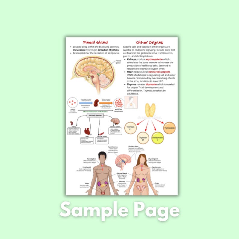 75 Pages of Biology Study Notes Complete Review Nurse Lecture Notes ...