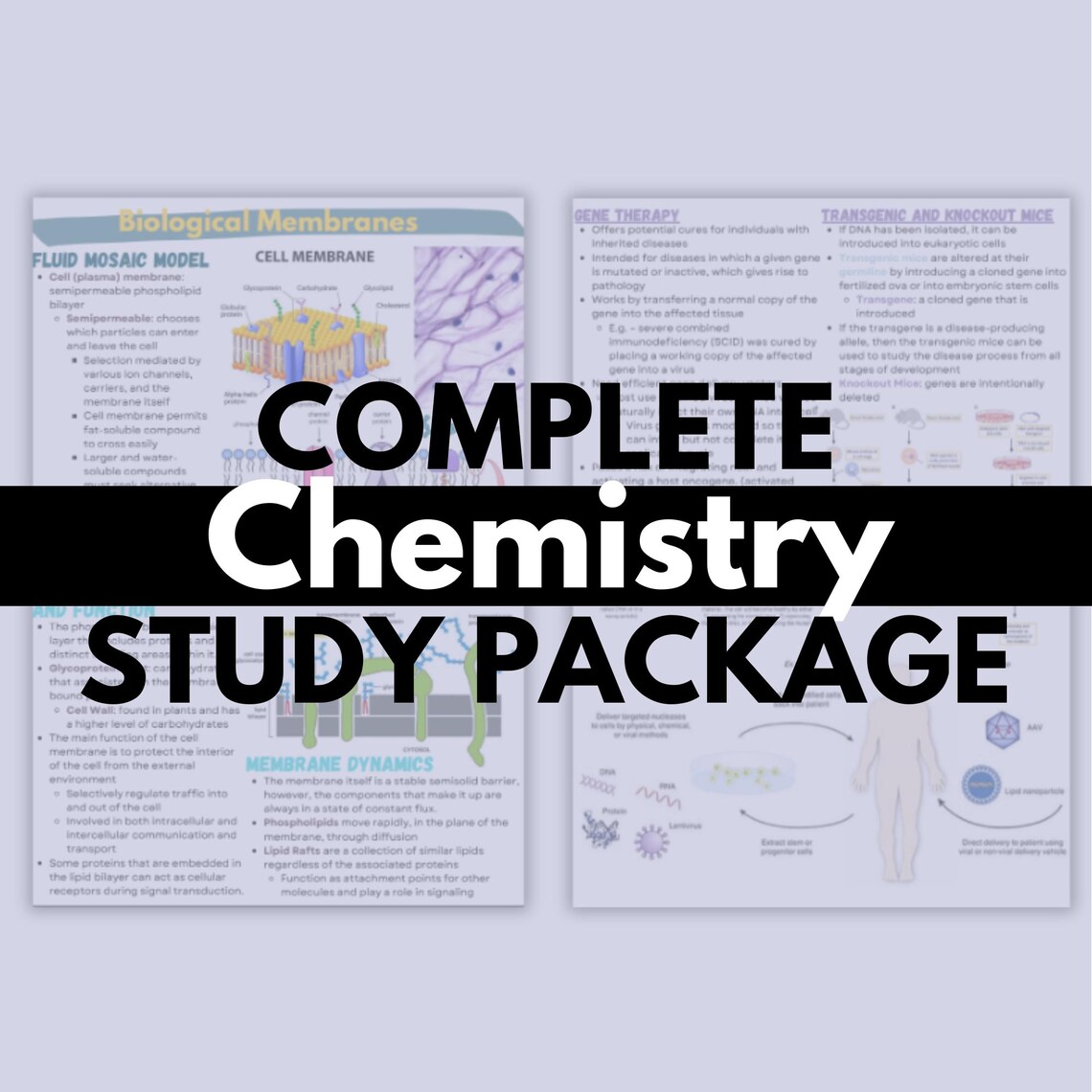 150 Pages of Chemistry Study Notes Complete Review Nurse Lecture Notes ...