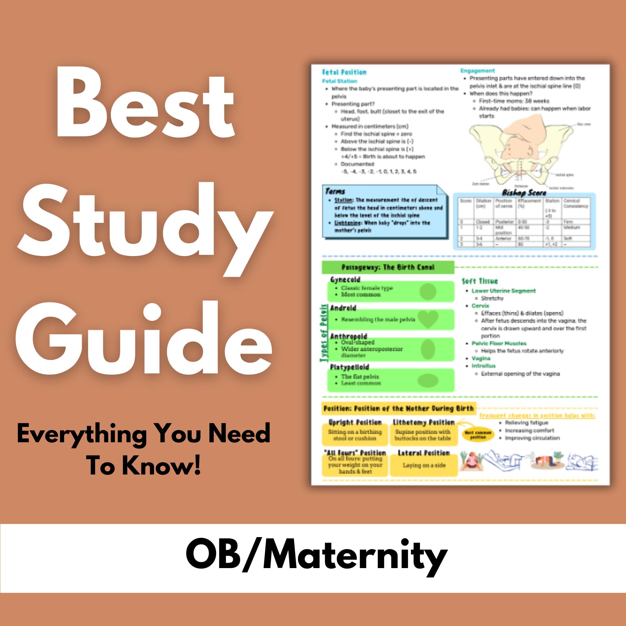 Ob/maternity Bundle | 18 Pages | Nursing School | Study Notes - Etsy