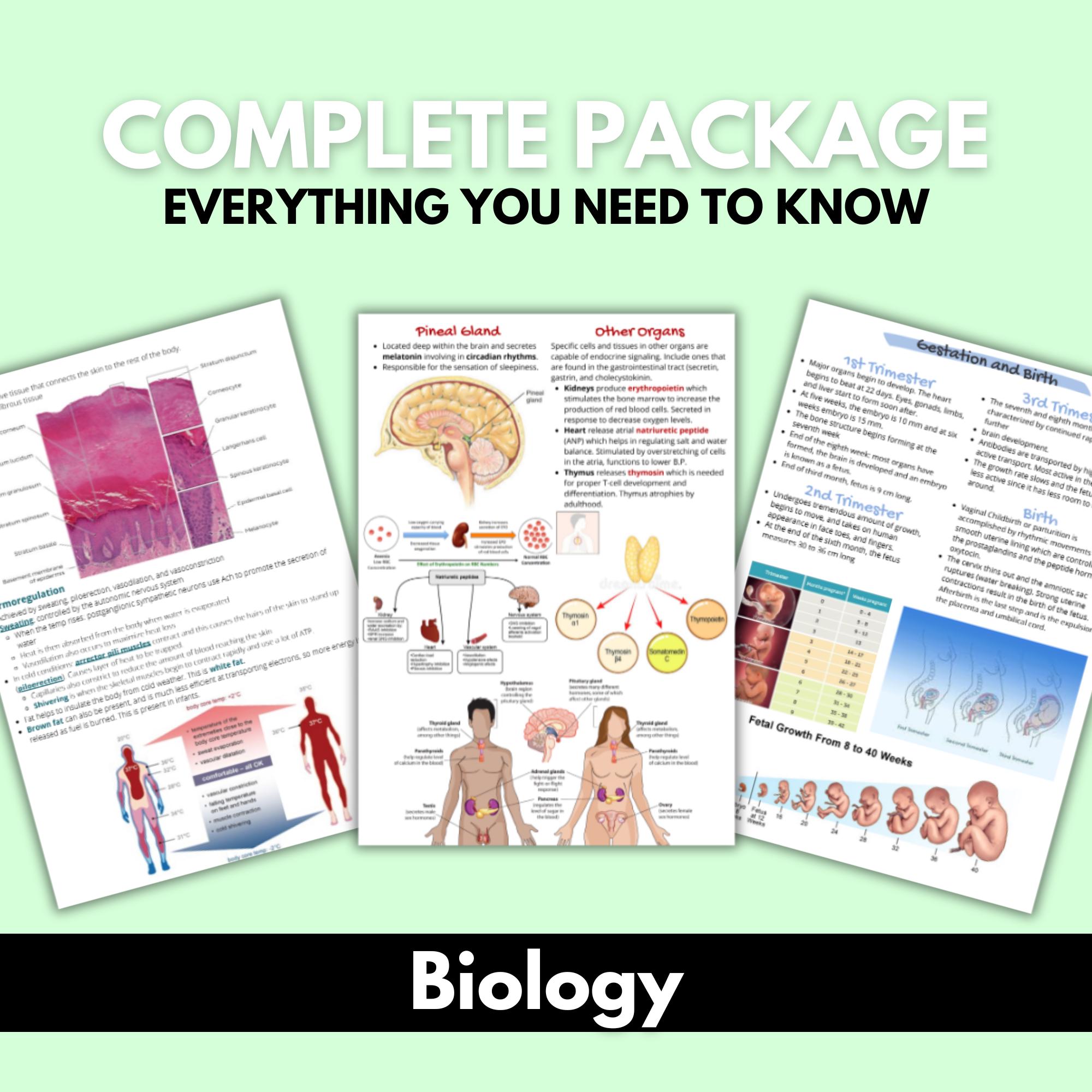 75+ Pages of Biology Study Notes | Complete Review | Nurse Lecture ...