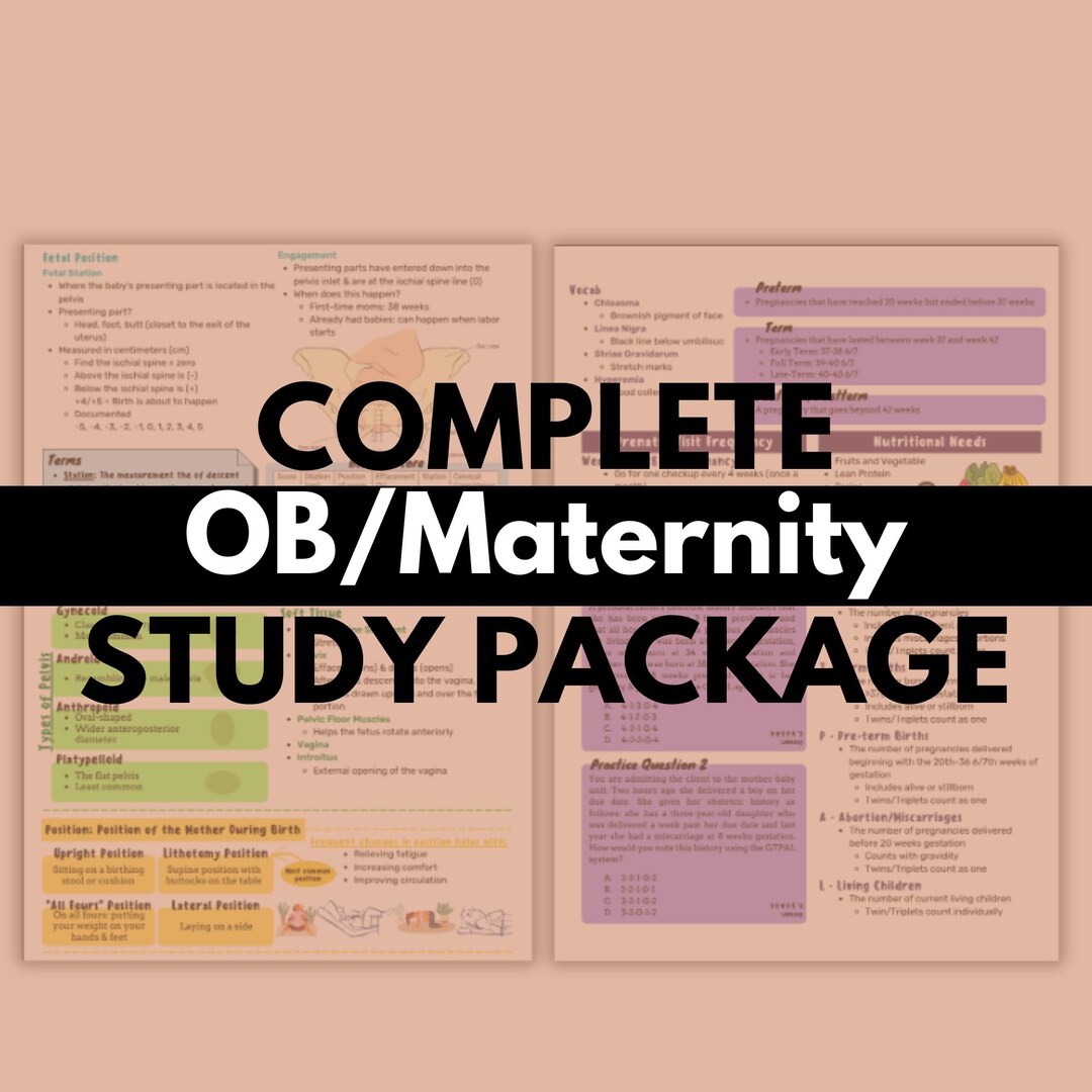 Ob/maternity Bundle | 18 Pages | Nursing School | Study Notes - Etsy