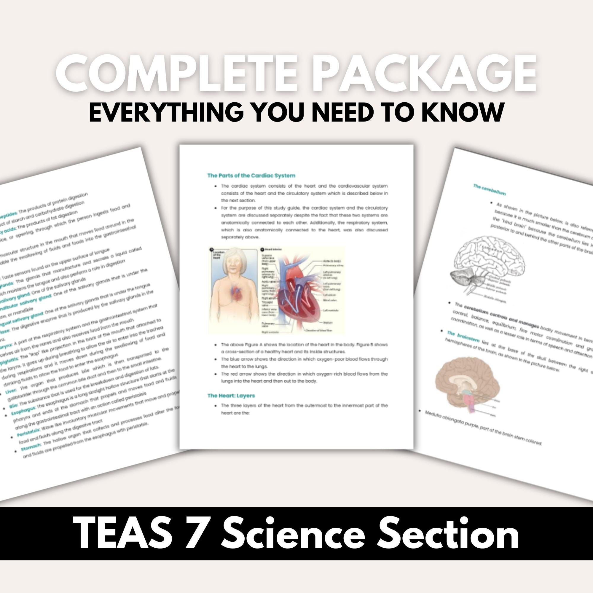TEAS 7 Science Section Bundle | 53 Pages | TEAS Notes | Study Notes ...