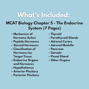 7 Pages MCAT Biology Chapter 5 - the Endocrine System (study Notes ...