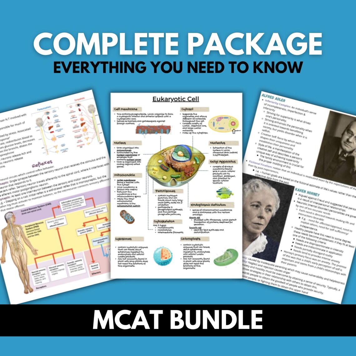 Complete MCAT Bundle | All Topics Included | Everything You Need for ...