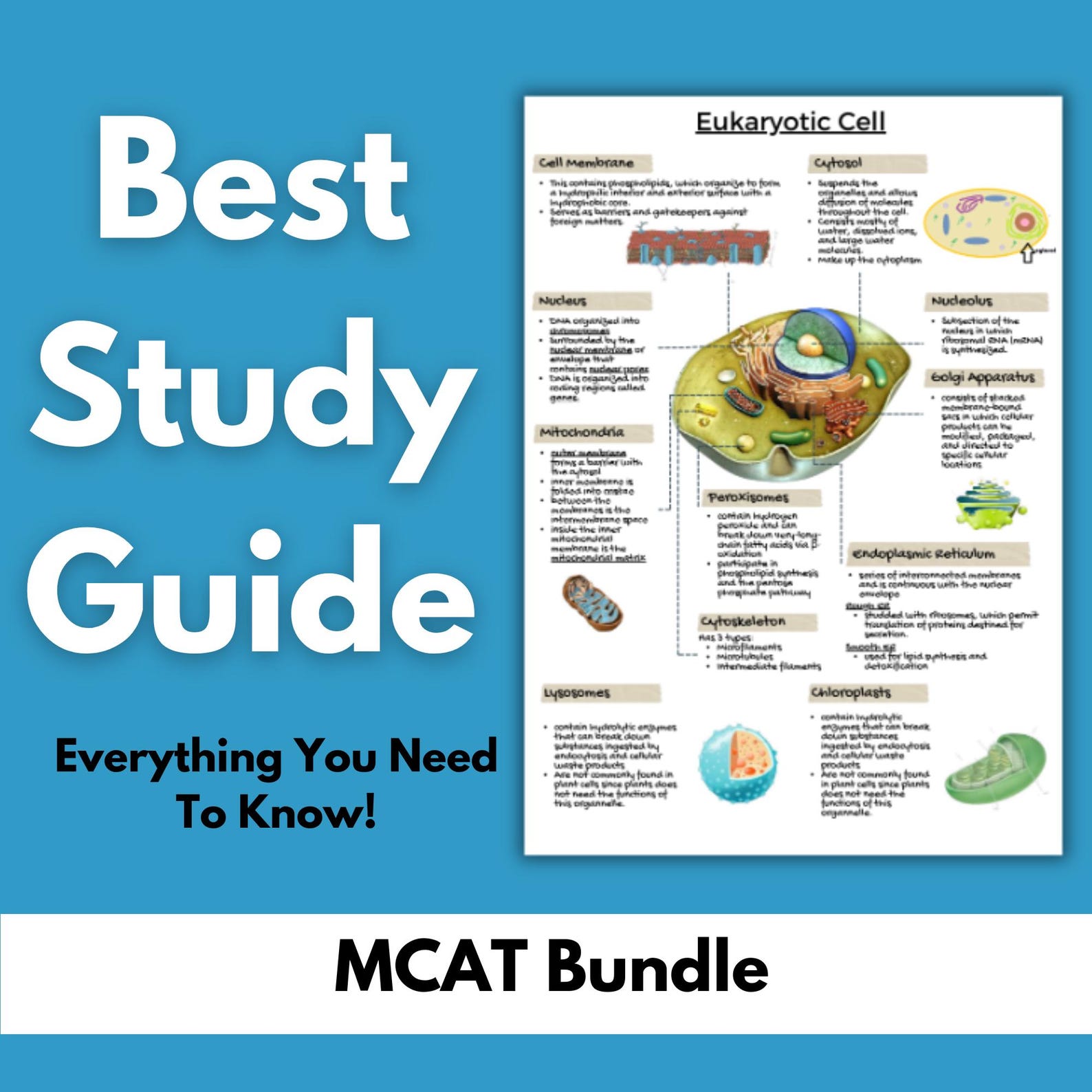 Complete MCAT Bundle | All Topics Included | Everything You Need for ...