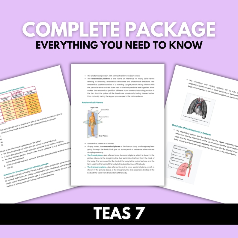 TEAS 7 Complete Bundle | 400+ Pages | TEAS Notes | Study Notes - Etsy