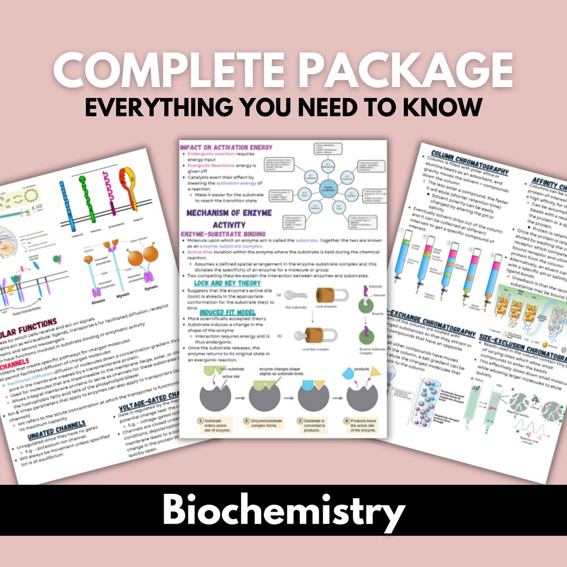 85+ Pages of Biochemistry Study Notes | Complete Review | Nurse Lecture ...