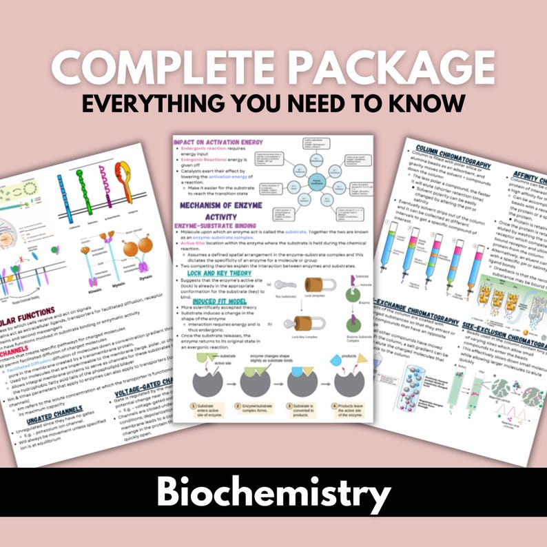 85+ Pages of Biochemistry Study Notes | Complete Review | Nurse Lecture ...