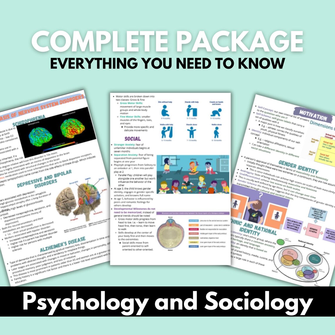 100 Pages Psychology and Sociology Bundle Package Nurse Study Notes ...