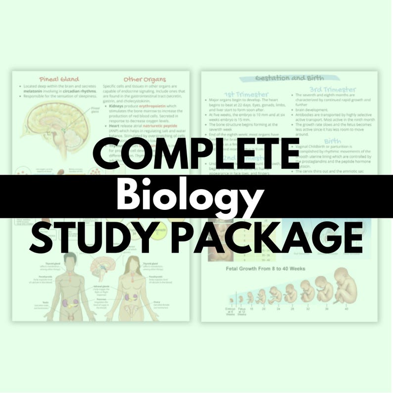 75 Pages of Biology Study Notes Complete Review Nurse Lecture Notes ...