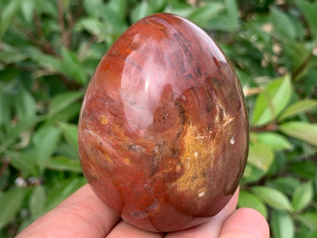 Natural Petrified Wood Quartz,quartz Crystal,hand Carved,crystal Egg ...