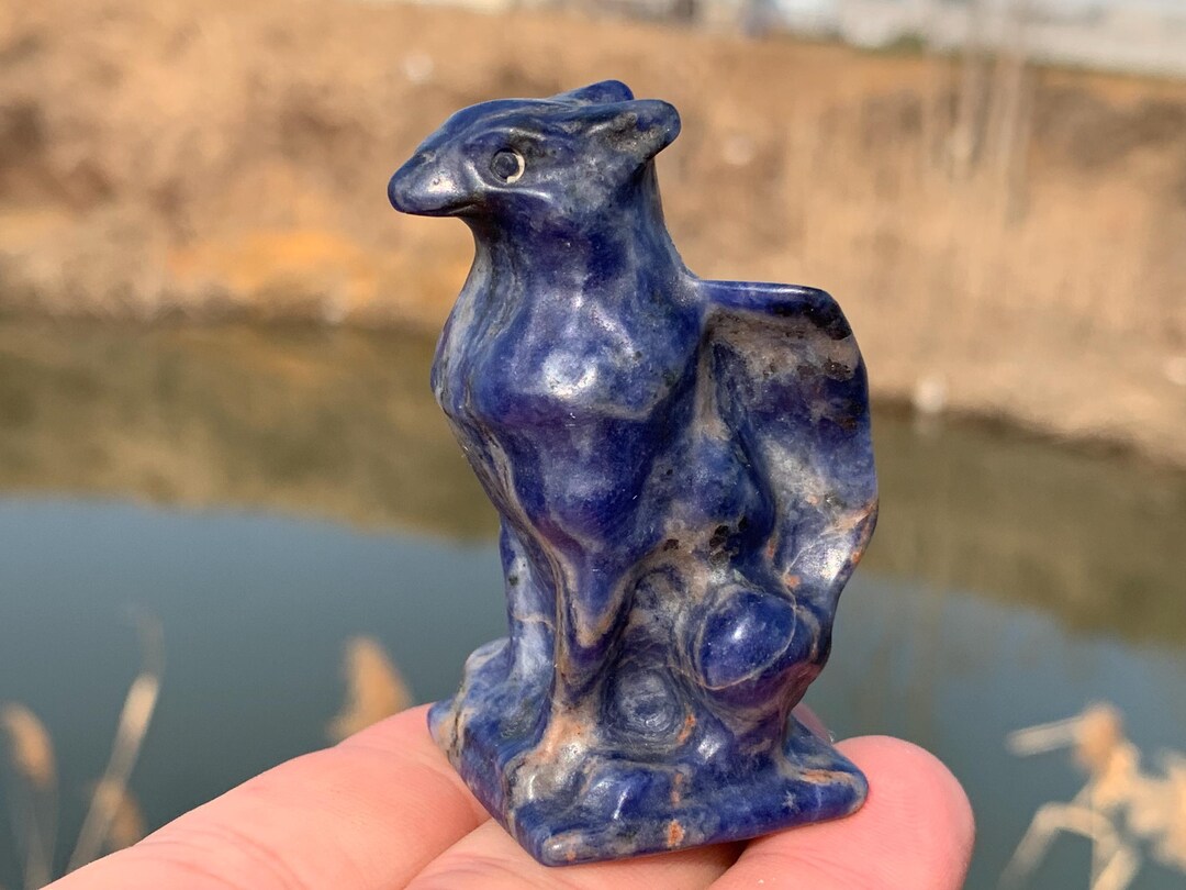 Sodalite Quartz Crystal Griffin Skull: Hand Carved Home Decor - Etsy