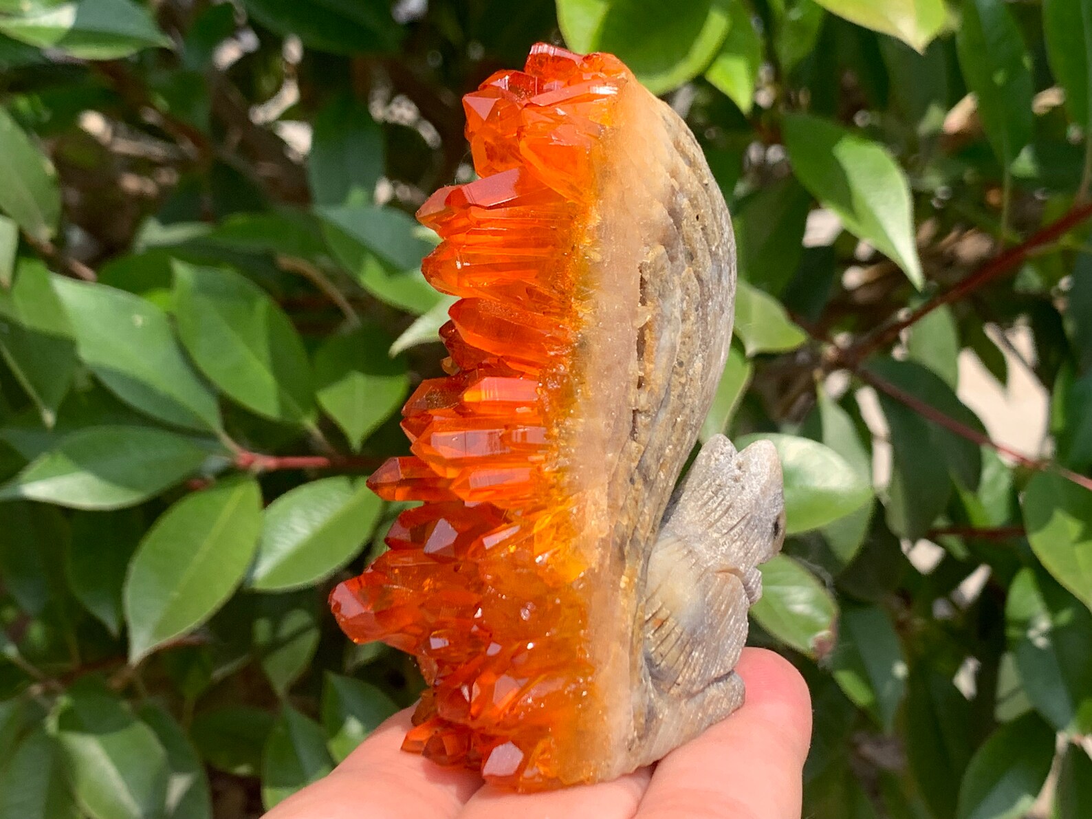 3.4''+ Natural Yellow Geode Specimen Cluster,quartz Crystal,hand Carved ...