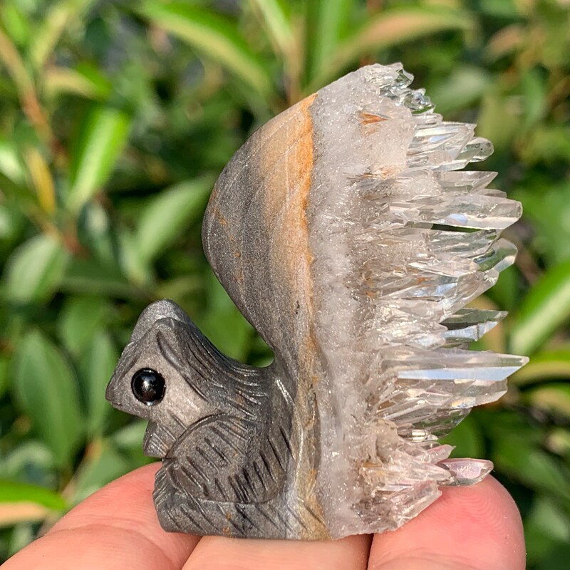 Carved Squirrel - Etsy