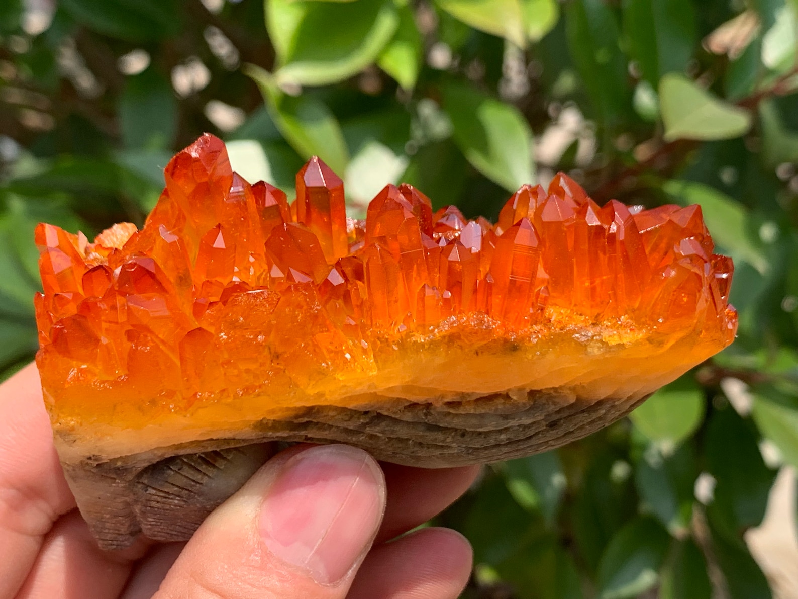 3.4''+ Natural Yellow Geode Specimen Cluster,quartz Crystal,hand Carved ...