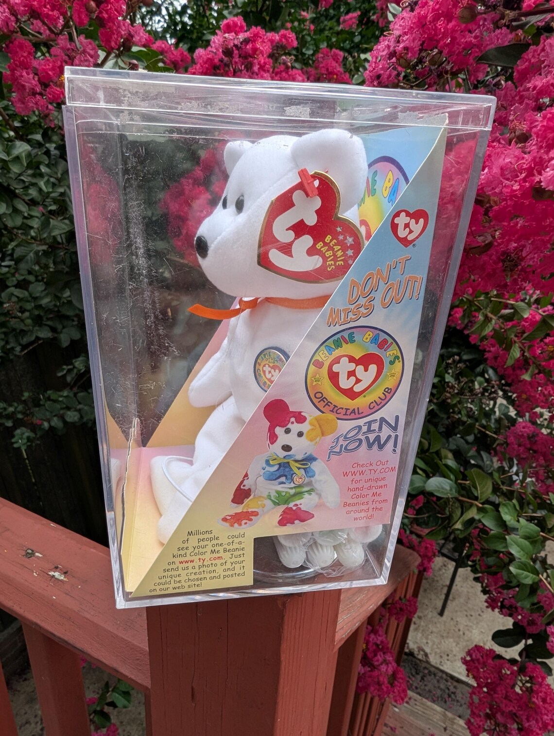 Vintage 2000 Ty Beanie Babies Color Me Beanie Official Club Bear Bean ...