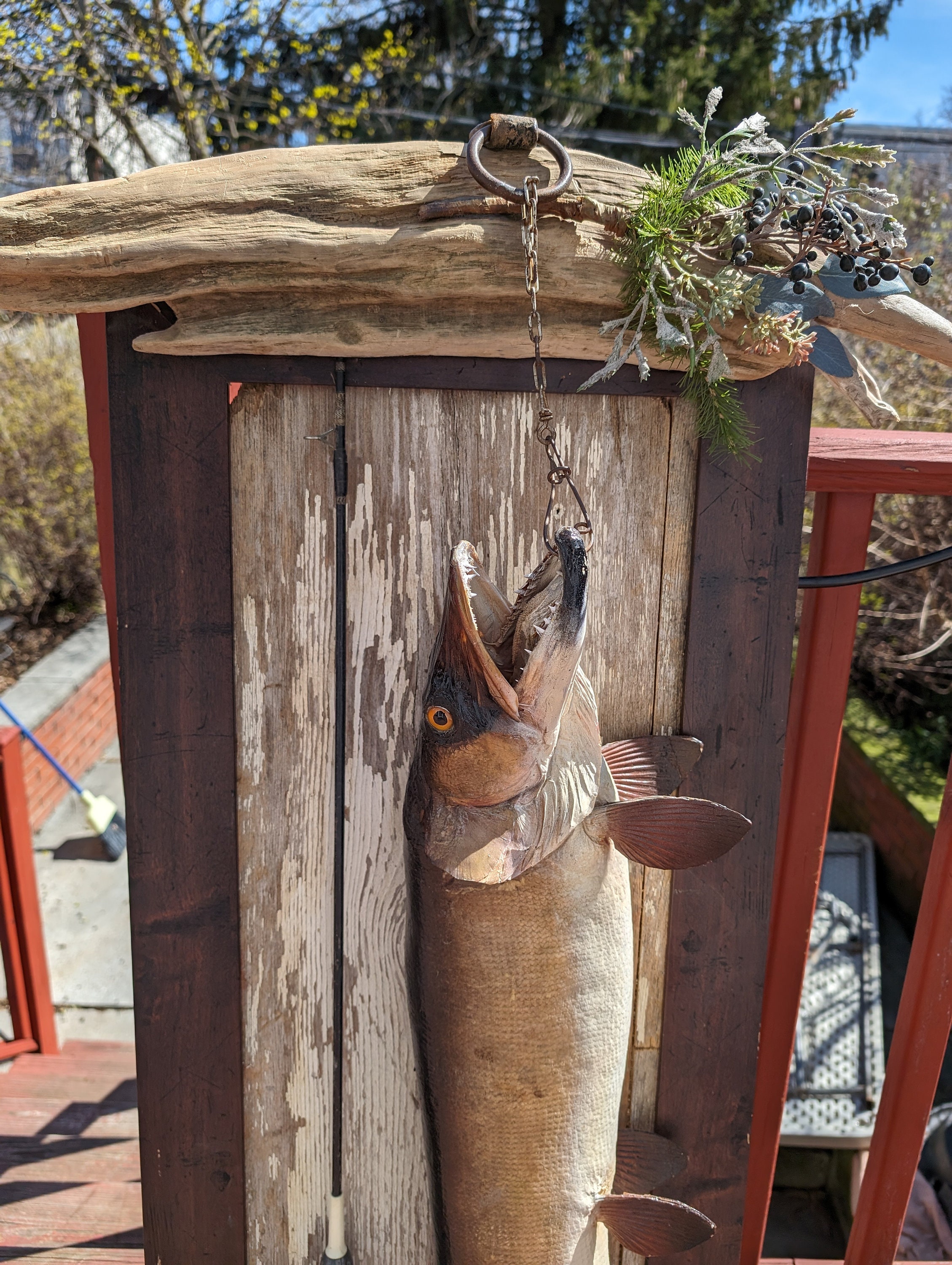 Vintage Taxidermy Muskie Fish on Wood Plaque 34" Real Skin Mount - Etsy