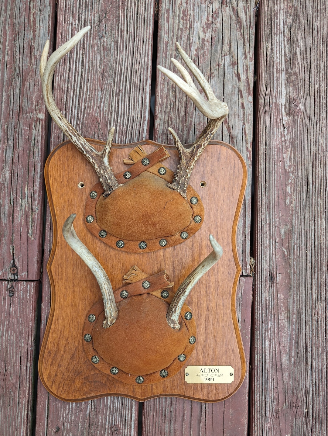 Vintage 1989 Double Deer Antler Mount on a Wood Plaque - Etsy