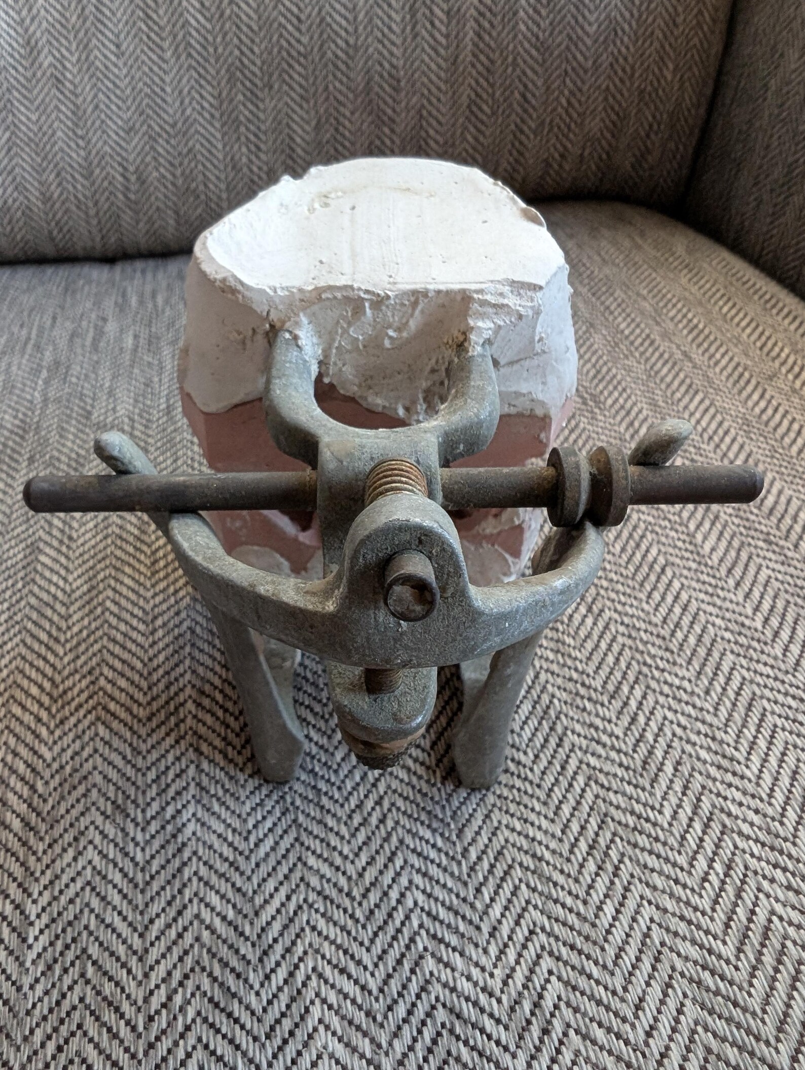 Vintage Dental Teeth Cast Medical Oddity. Dentist Tooth Impression Mold ...