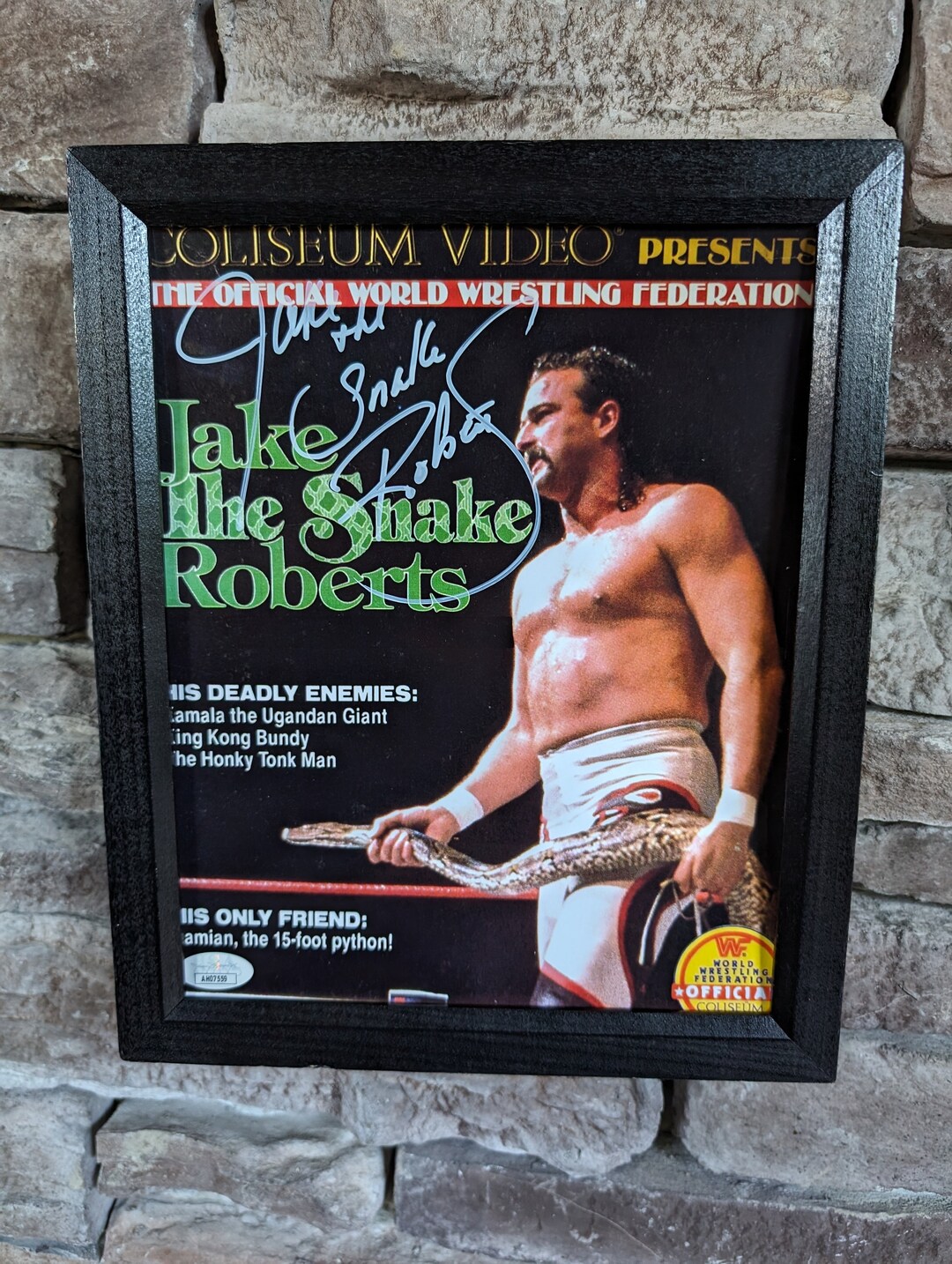 Autographed Jake the Snake Roberts 8x10 Inch Framed Photo With ...