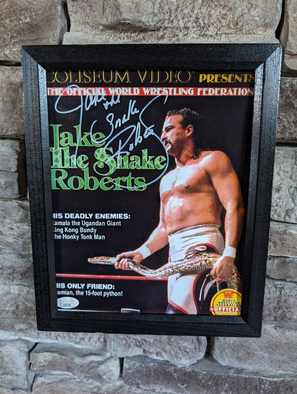 Autographed Jake the Snake Roberts 8x10 Inch Framed Photo With ...