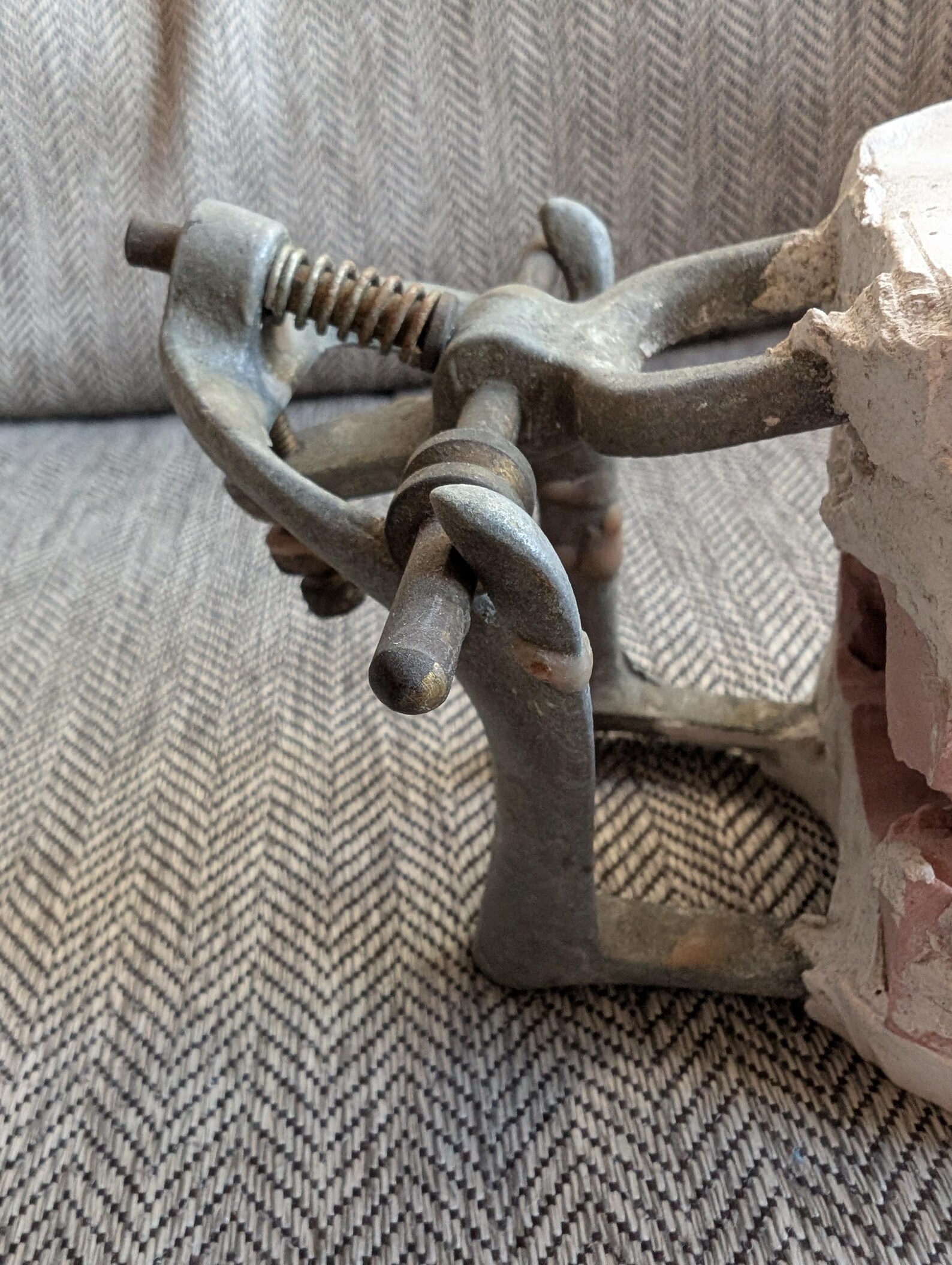 Vintage Dental Teeth Cast Medical Oddity. Dentist Tooth Impression Mold ...