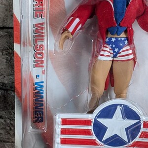 Vintage Jakks Pacific WWF WWE the Great American Bash Torrie Wilson ...