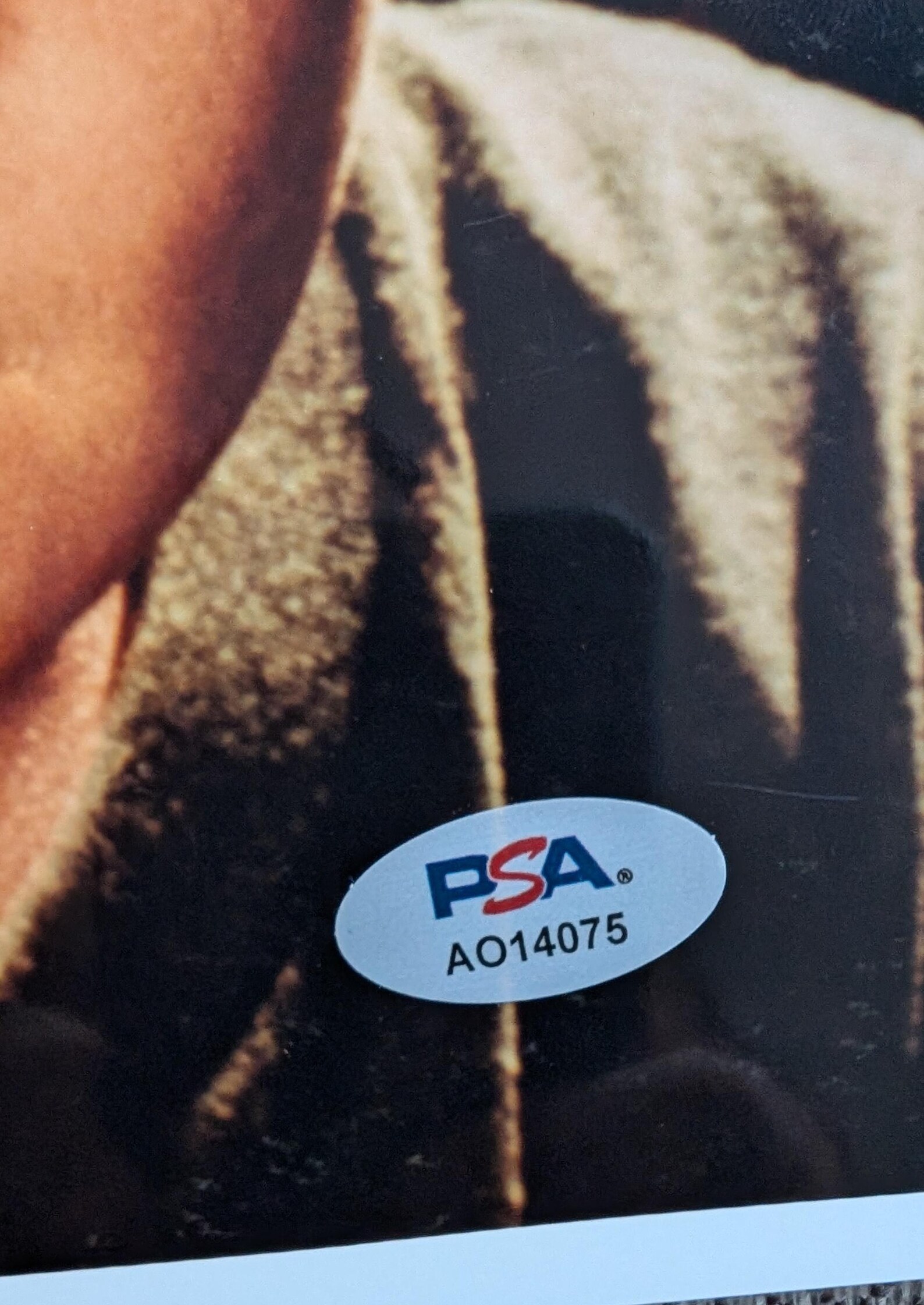 Autographed Corey Feldman Stand by Me 8x10 Inch Photo With Certificate ...