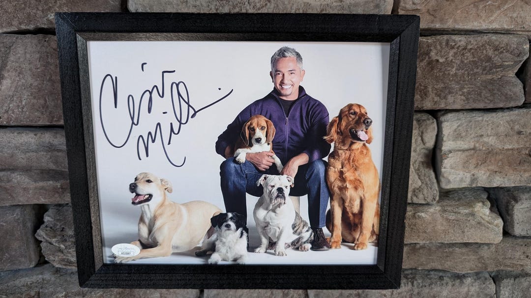 Autograph Cesar Millan the Dog Whisperer 8x10 Inch Framed Photo With ...