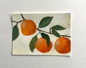 Maple Seed Drawing - Etsy