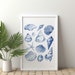 Coastal Set of 6 Prints, Boho Beach House Decor, Trendy Blue Coral Wall ...