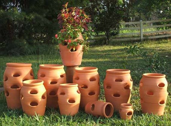 Craven Pottery Georgia Red Clay Small Strawberry Jar Planter Etsy UK