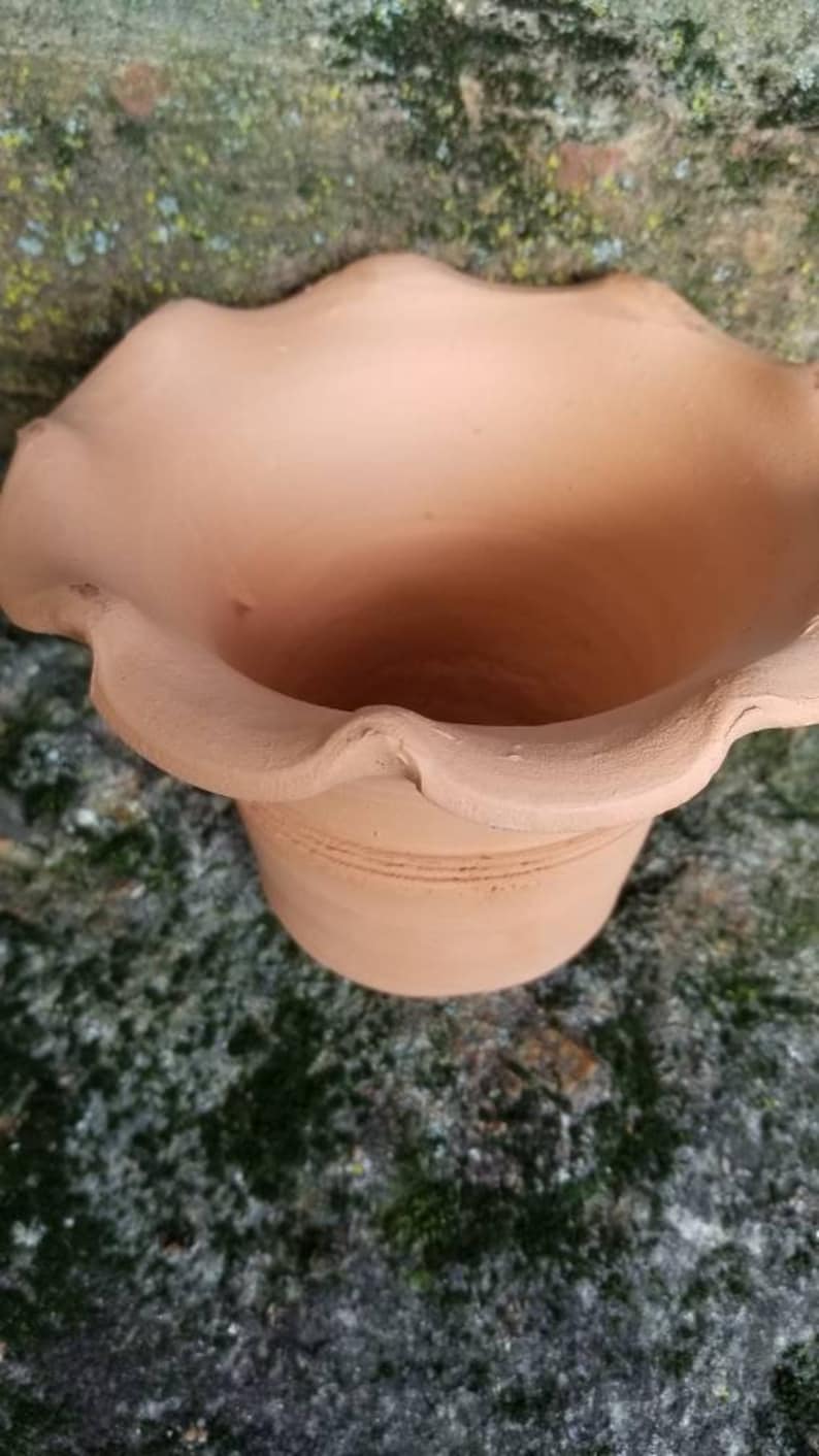 Craven Pottery Georgia Red Clay Small Terra Cotta Fluted Palm Pot ...