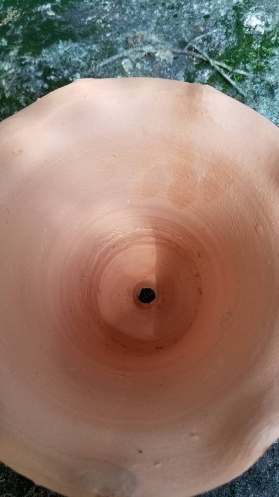 Craven Pottery Georgia Red Clay Small Terra Cotta Fluted Palm Pot ...