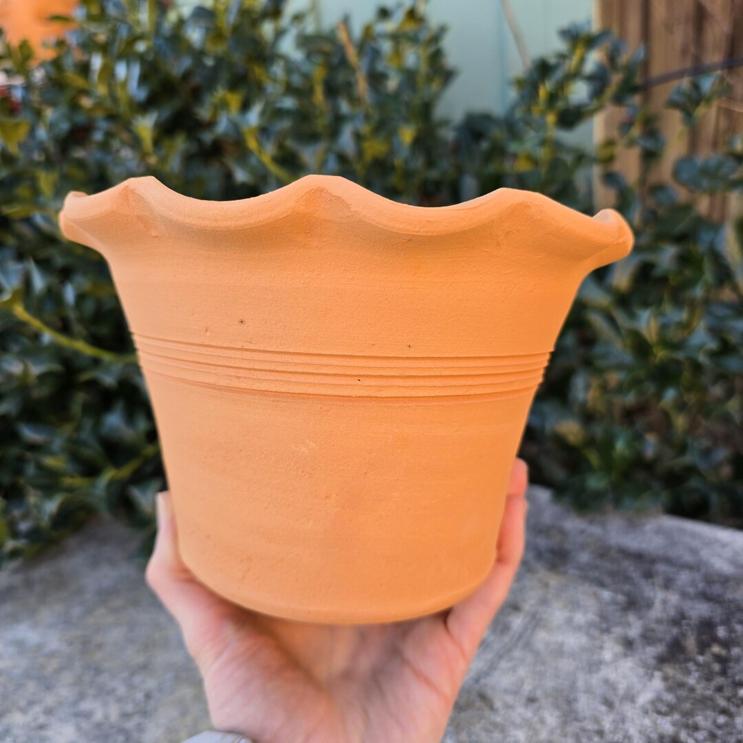 Craven Pottery Georgia Red Clay Small Terra Cotta Fluted Palm Pot ...